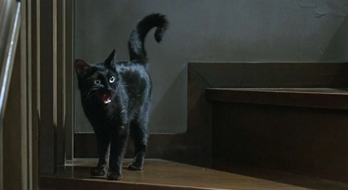 10 Crazy Things About The Grudge Movies (and Show) – dustygriffin.com